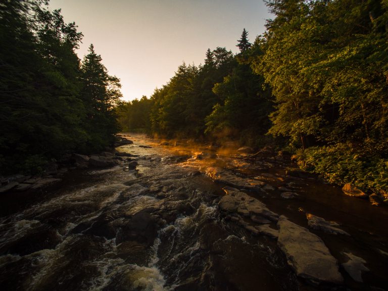 2025 Fall Trout Stocking Guide