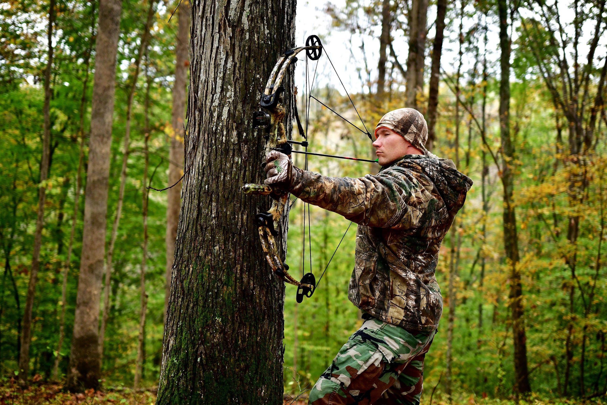 Hunters Helping the Hungry: helping those in need - WVDNR