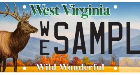 Support wildlife education and research with one of these special ...