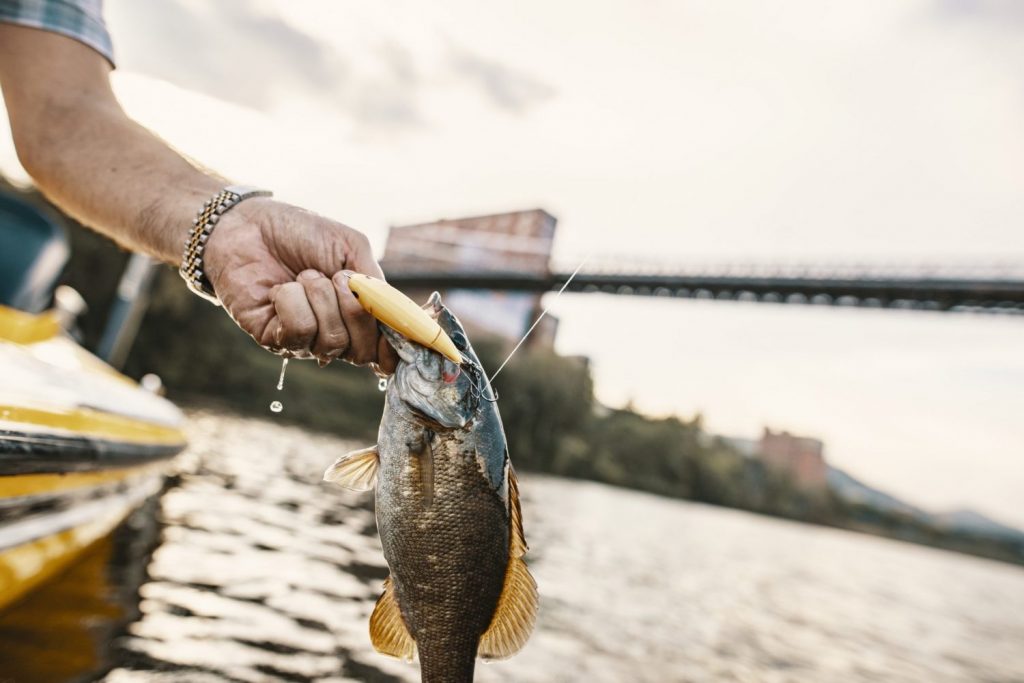 West Virginia Fishing Guide: Licenses, Regulations & Top Spots