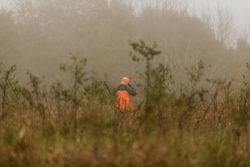 WV Hunting Guide: Licenses, Seasons, and Regulations - WVDNR