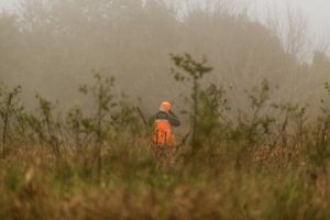 WV Hunting Guide: Licenses, Seasons, and Regulations - WVDNR