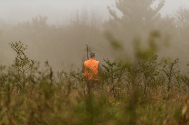 Hunting in West Virginia: Rules, Regulations & Guidelines