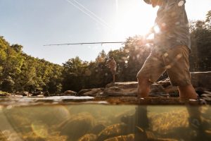 Interactive Map of West Virginia DNR Trout Stockings