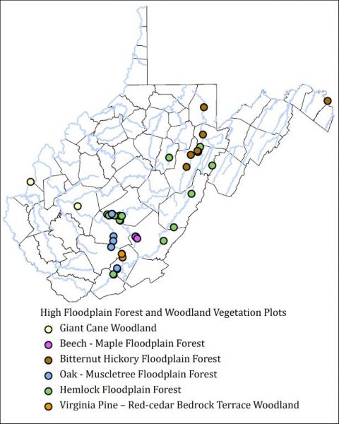 High Floodplain Forests and Woodlands - WVDNR