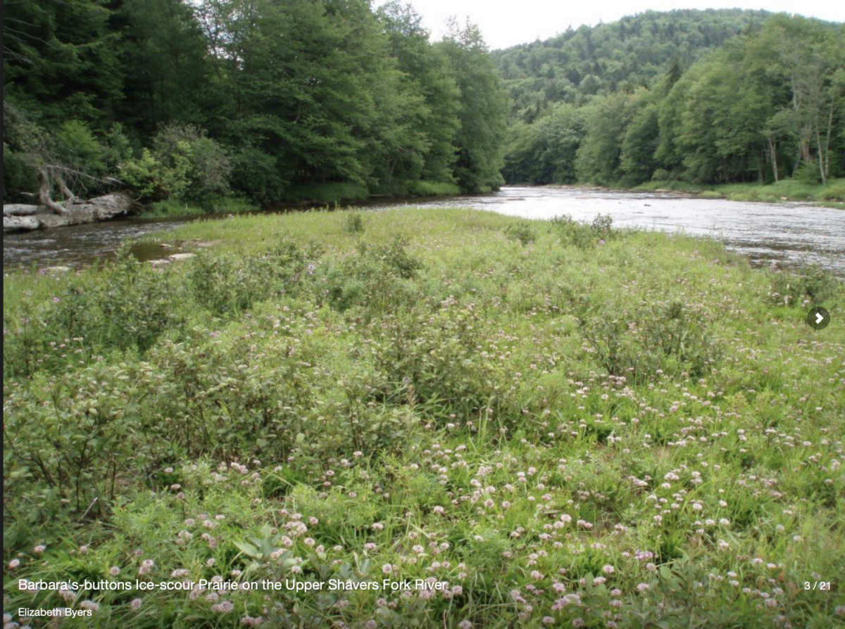 Riverscour Prairies - WVDNR