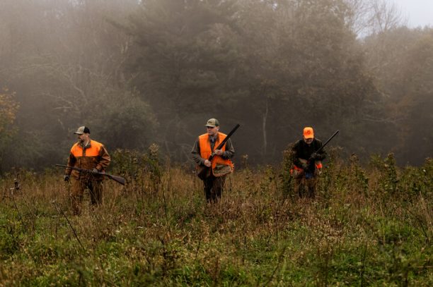 Interactive Map of West Virginia DNR Trout Stockings