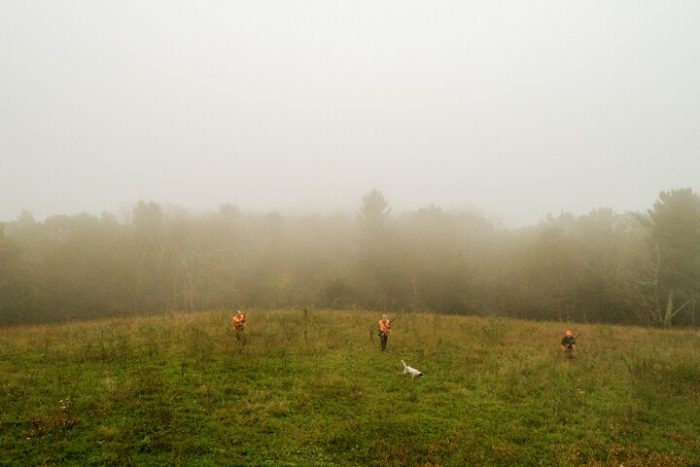 West Virginia Hunting Guide – Licenses, Seasons & Regulations
