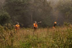 WV Hunting Guide: Licenses, Seasons, and Regulations - WVDNR