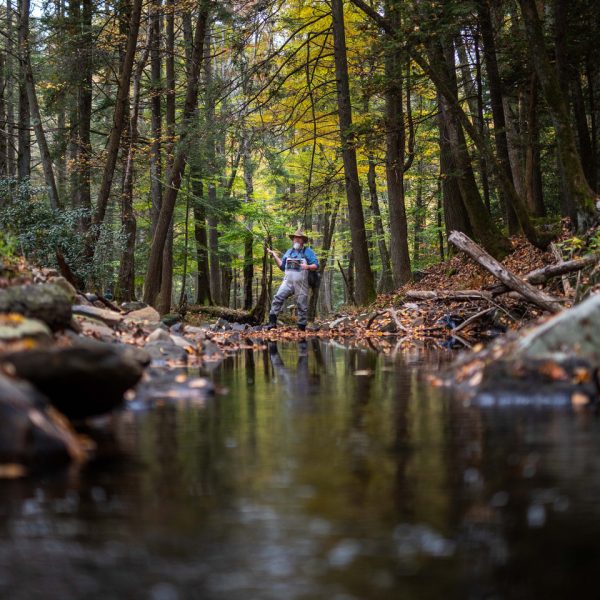 West Virginia Division of Natural Resources - WVDNR : West Virginia ...