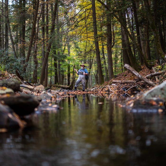 West Virginia Division of Natural Resources - WVDNR : West Virginia ...