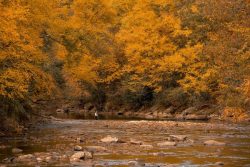 Fall Monster Trout Stockings - WVDNR