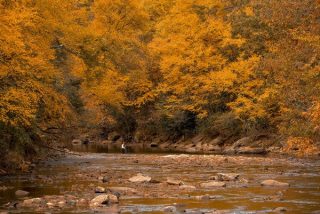 Fall Monster Trout Stockings - WVDNR