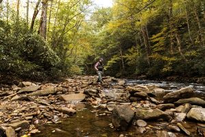 Your guide to fall trout fishing in West Virginia - WVDNR