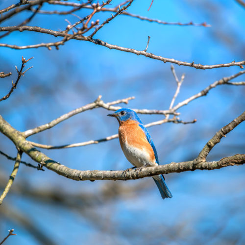 West Virginia Division of Natural Resources - WVDNR : West Virginia ...