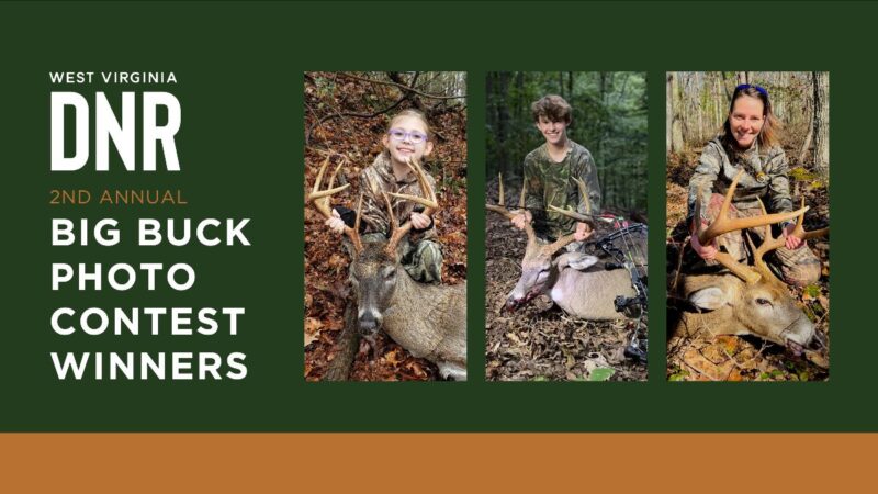 Gov. Justice announces 2022 WV Big Buck Photo Contest winners - WVDNR