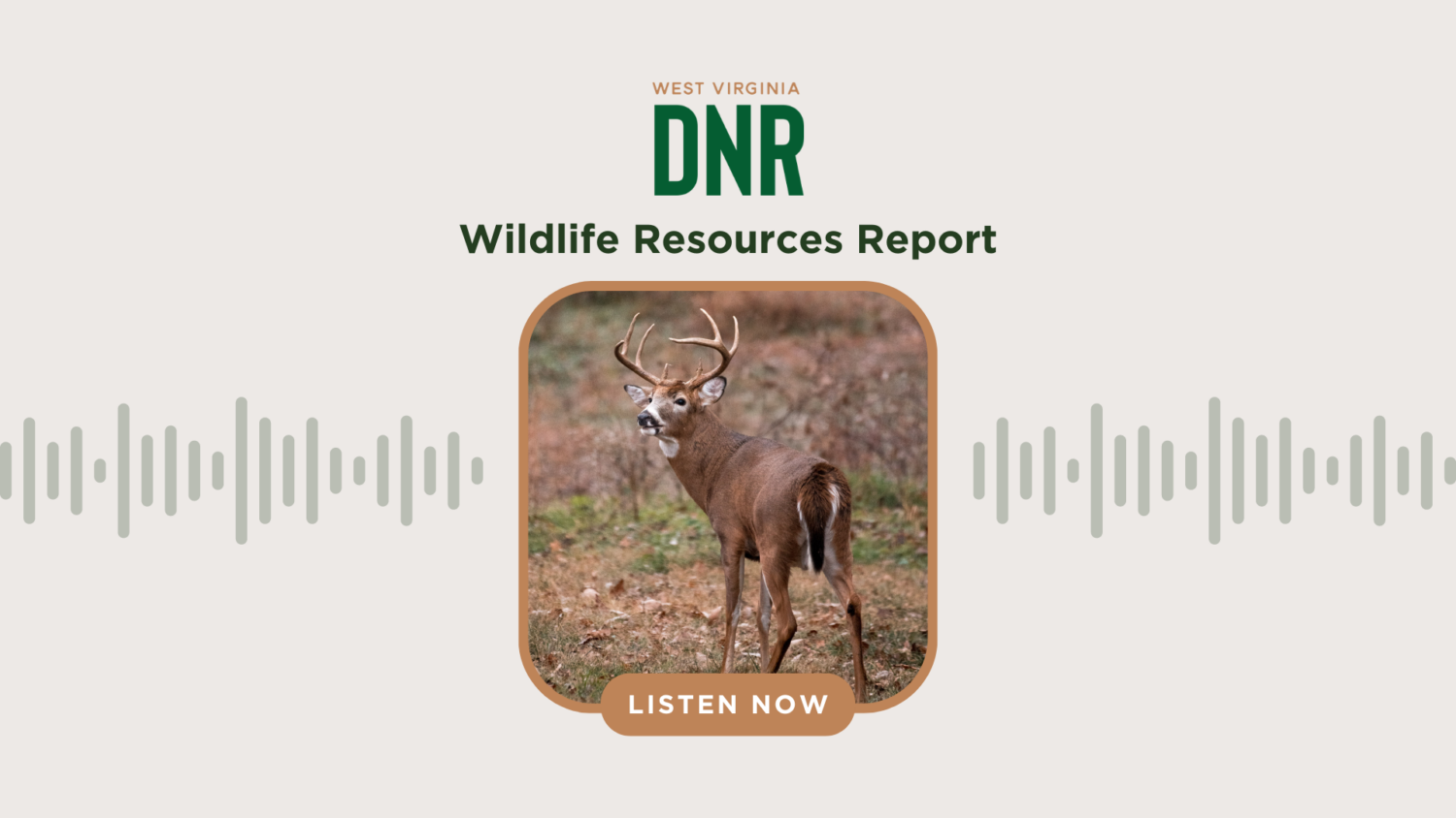 Wildlife Resources Report: Sectional Meetings