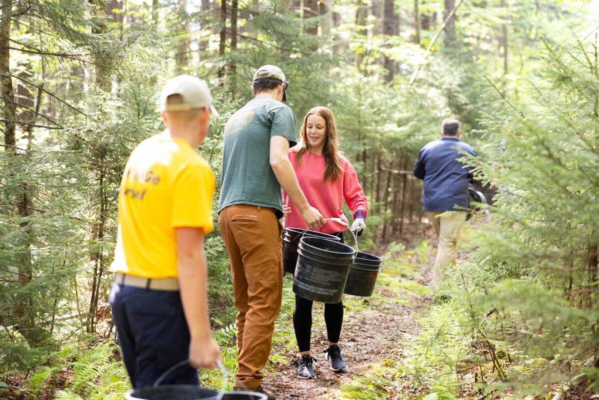 4 unique ways the WVDNR protects West Virginia’s public lands