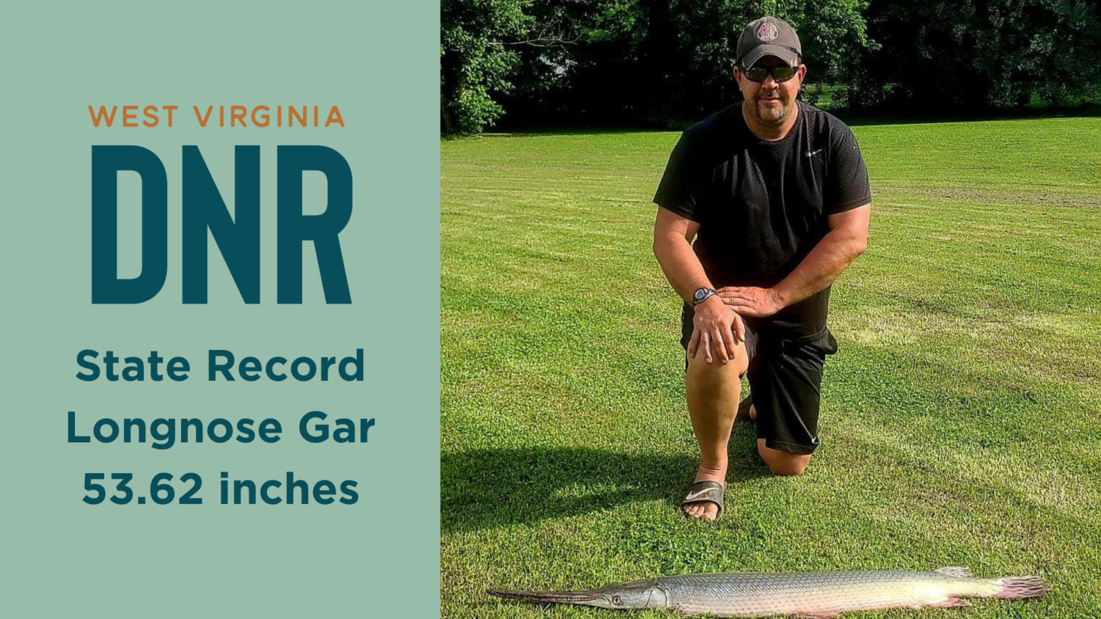 WV angler catches state record longnose gar - WVDNR