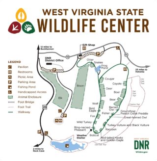 West Virginia Wildlife Center | Outdoor Recreation | WVDNR