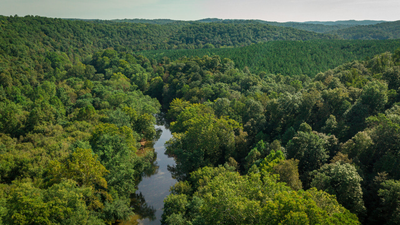 National Forest and WMA access roads to be open to hunters with ...