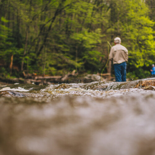 West Virginia Division of Natural Resources - WVDNR : West Virginia ...