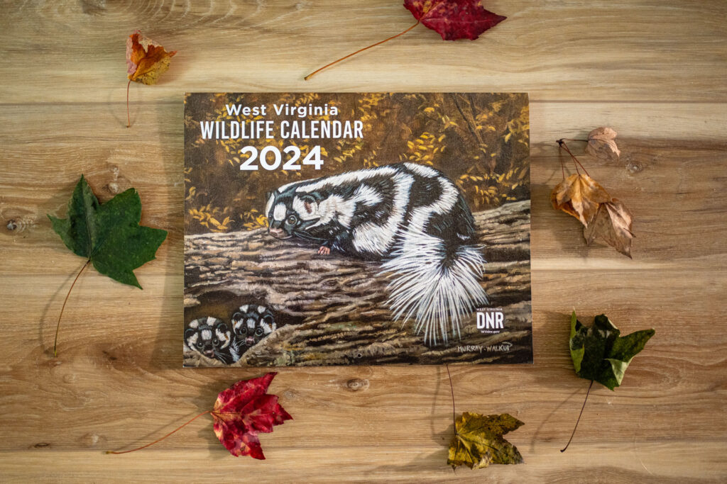 Gift the Outdoors: WVDNR Holiday Gift Guide - WVDNR