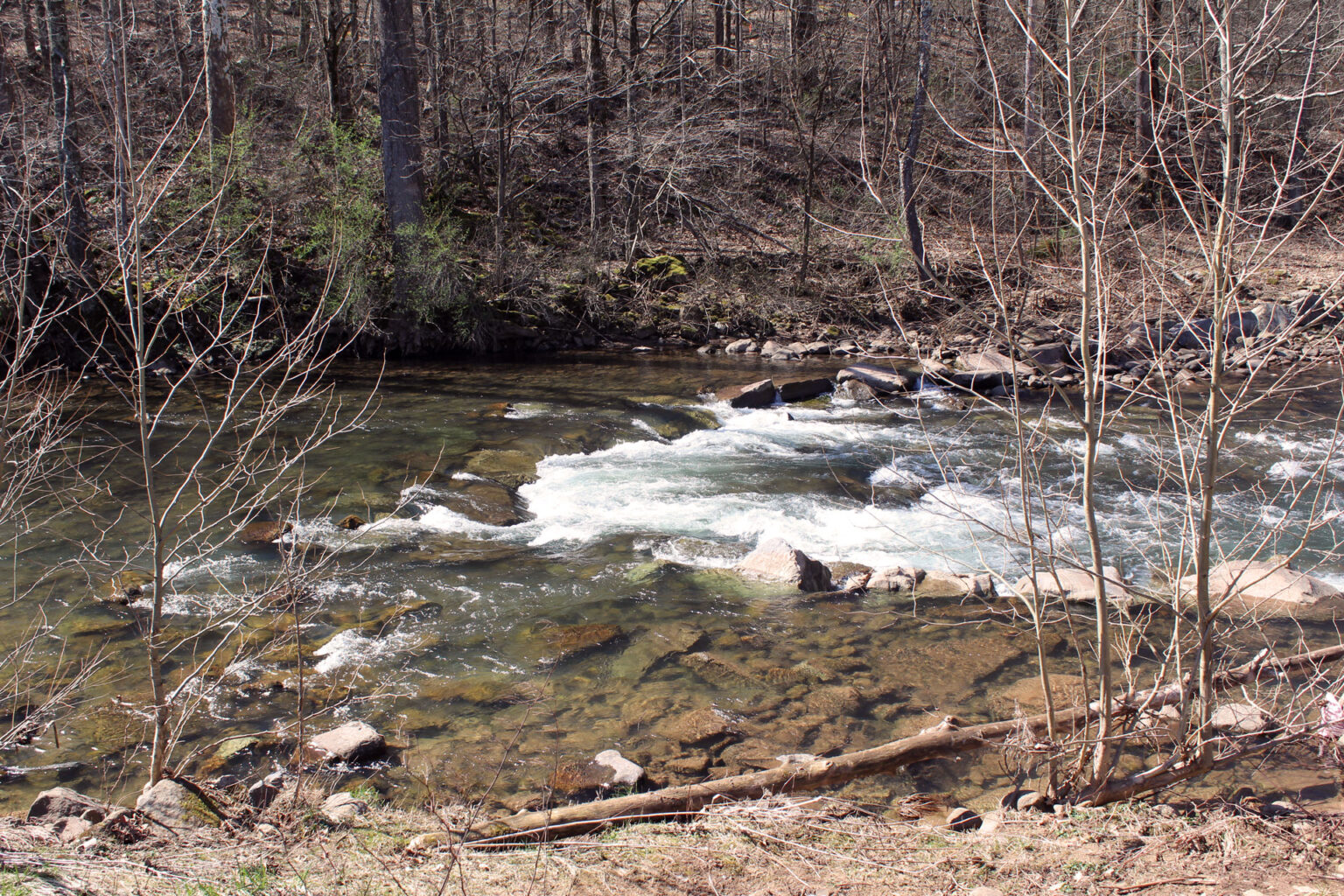 WVDNR announces November-December trout stockings for Elk River in ...