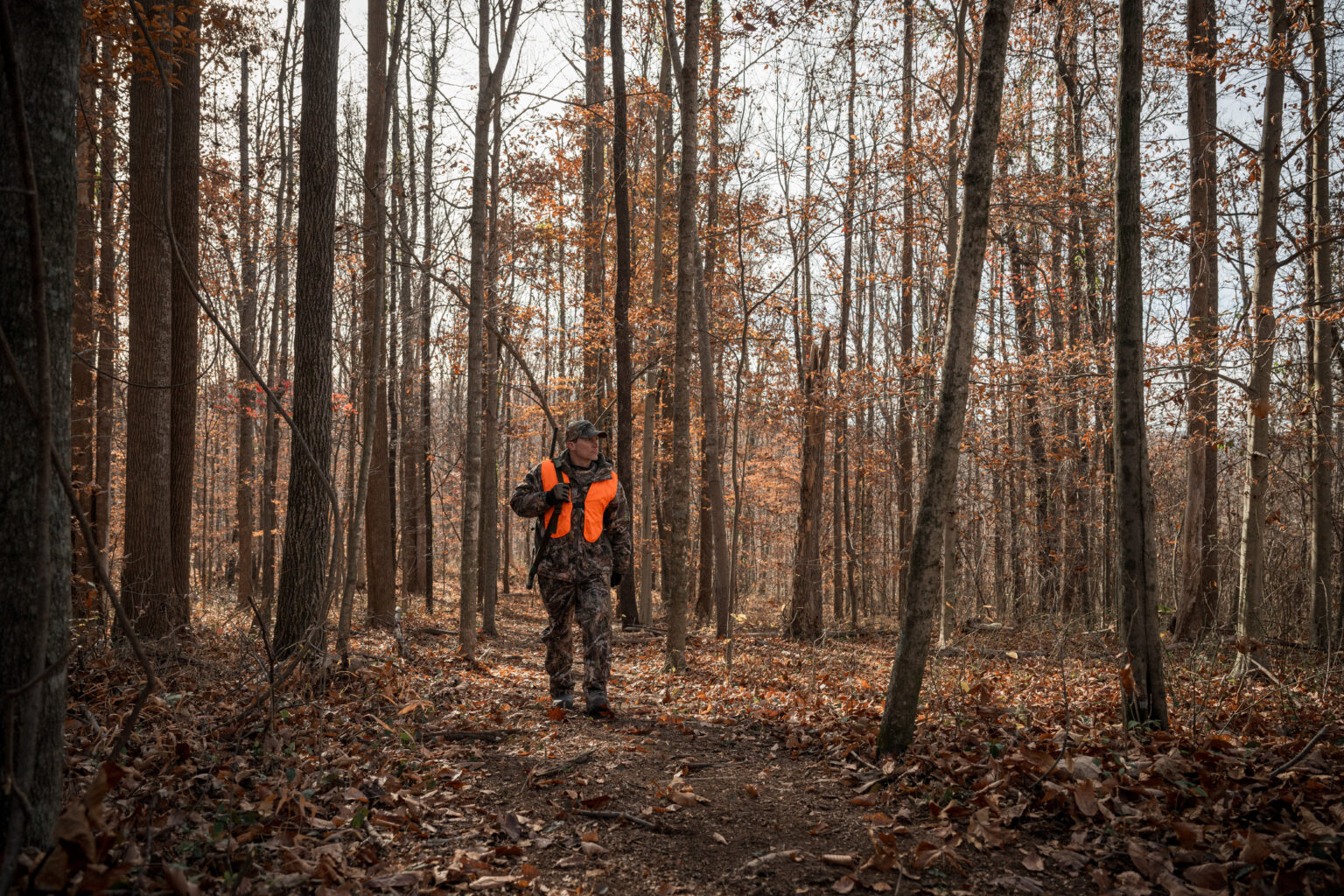 Antlerless Deer Season: A Complete Guide - WVDNR