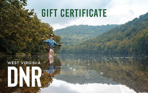 Buyer's guide to 2024 hunting and fishing licenses in West Virginia - WVDNR