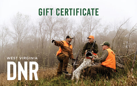 Buyer's guide to 2024 hunting and fishing licenses in West Virginia - WVDNR