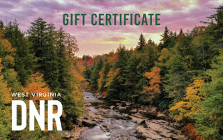 Buyer's guide to 2024 hunting and fishing licenses in West Virginia - WVDNR