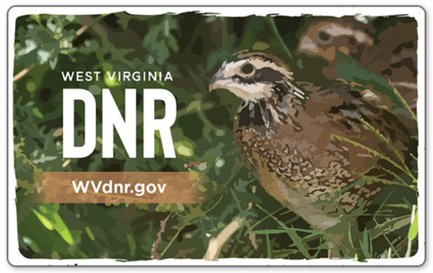 Buyer's guide to 2024 hunting and fishing licenses in West Virginia - WVDNR