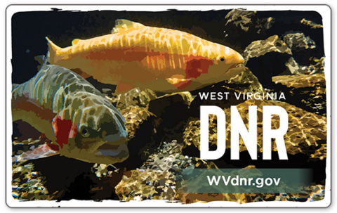 Buyer's guide to 2024 hunting and fishing licenses in West Virginia - WVDNR