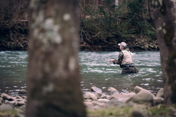 WVDNR announces updated fishing regulations, new state record fish ...