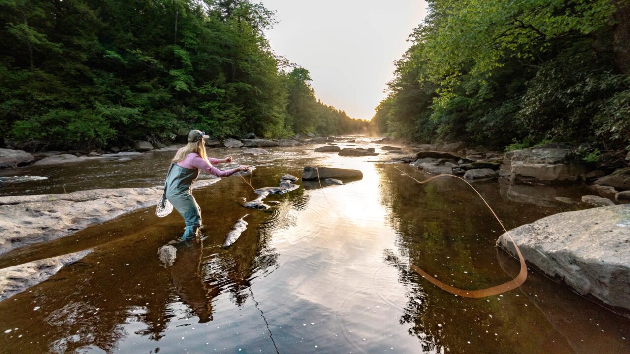 Cast a line at one of these 5 streams in West Virginia this spring