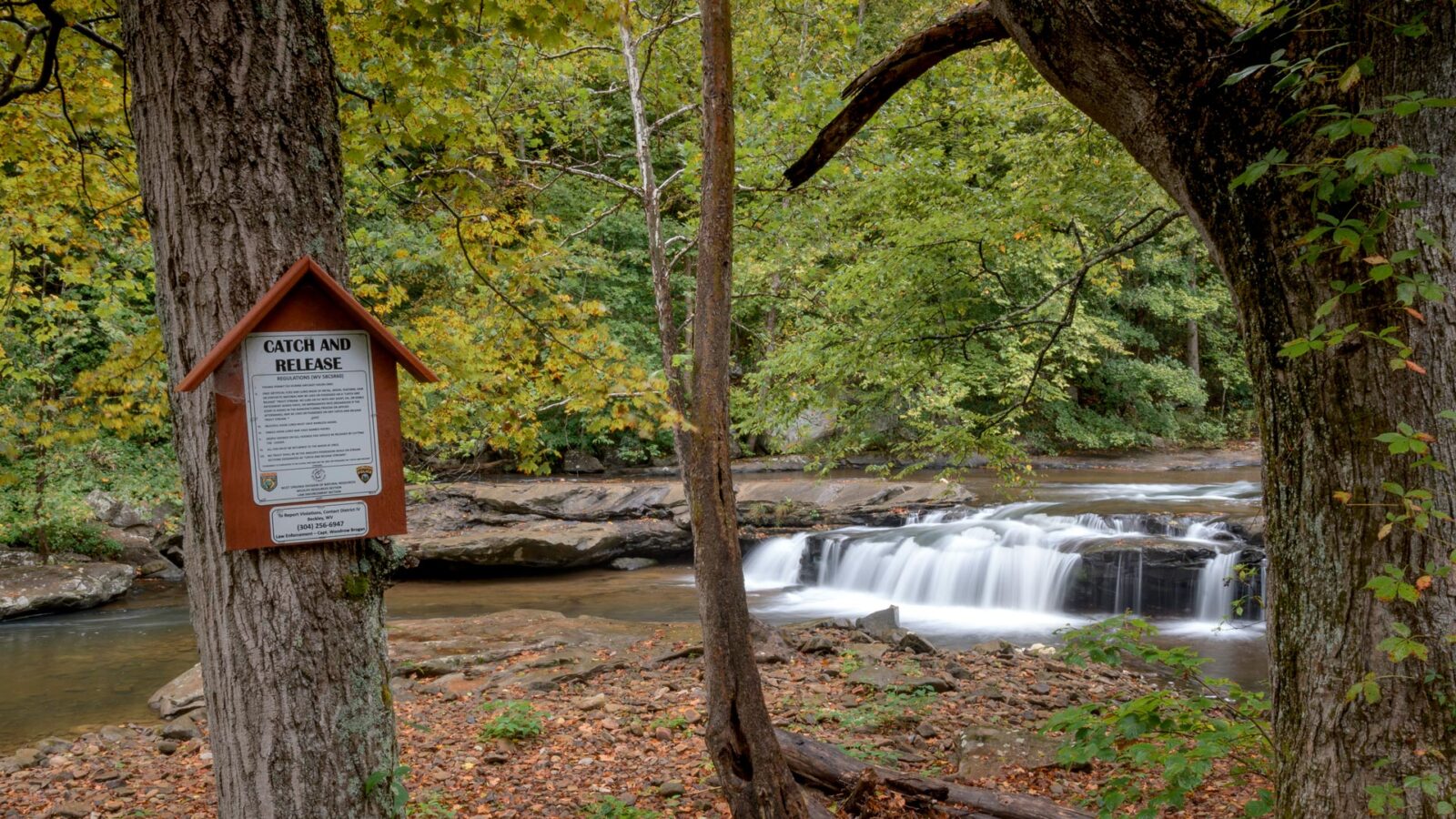 West Virginia Fishing Regulations - WVDNR