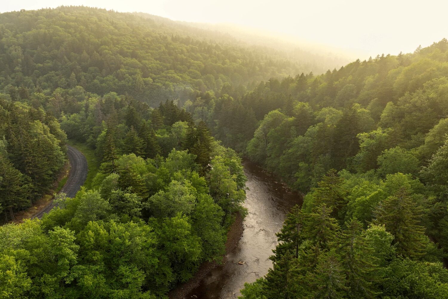 Cast a line at one of these 5 streams in West Virginia this spring