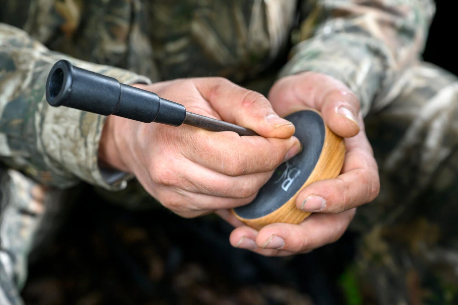 Spring gobbler season arrives April 15 in West Virginia - WVDNR