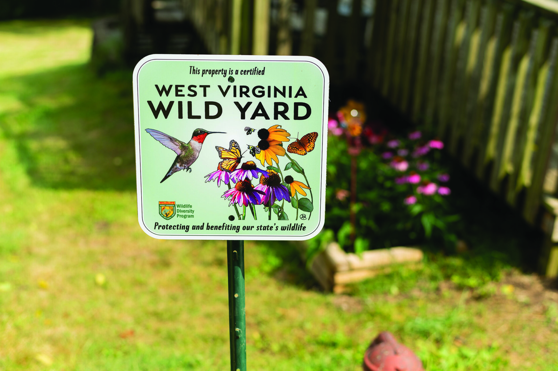 Discover the Beauty and Benefits of West Virginia's Wild Yards Program ...