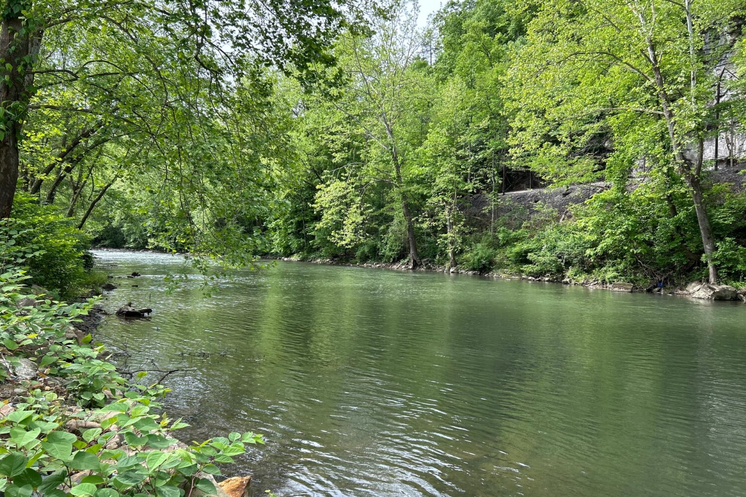 WVDNR opens new public stream access site in Pineville - WVDNR