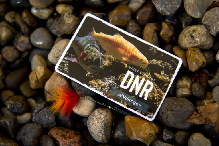 Beginners Guide to West Virginia’s Fishing Regulations - WVDNR