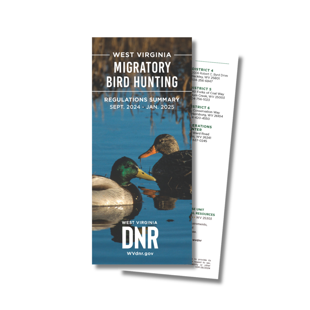 Hunting in West Virginia: Rules, Regulations & Guidelines