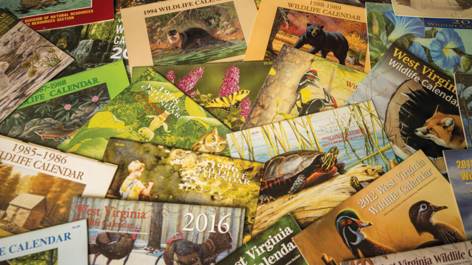 Celebrating 40 years of the West Virginia Wildlife Calendar