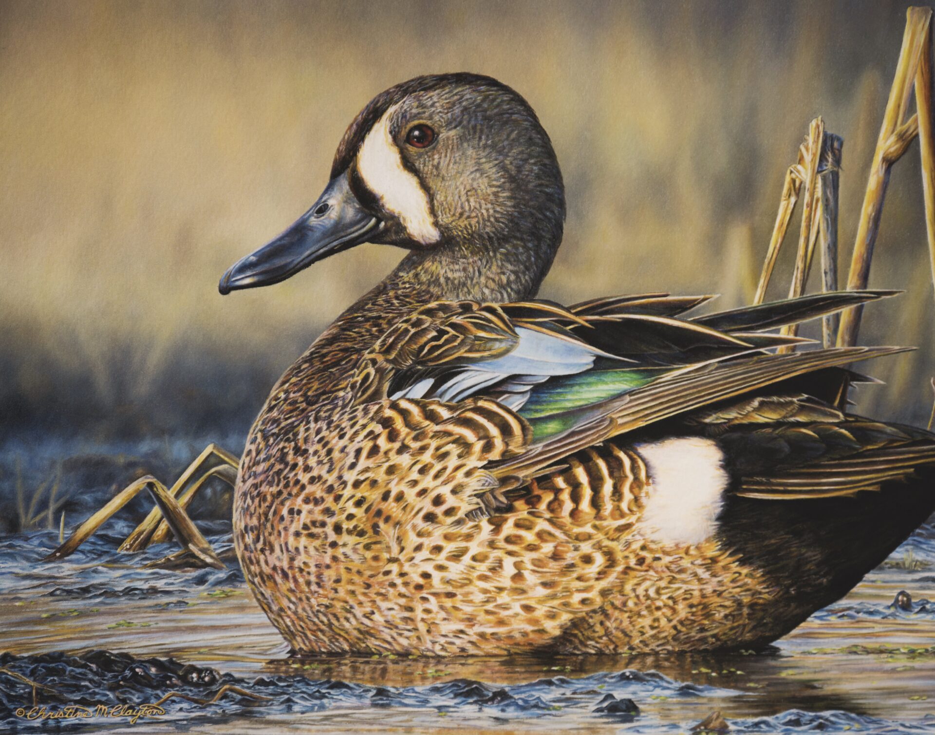 Wildlife Calendar - WVDNR