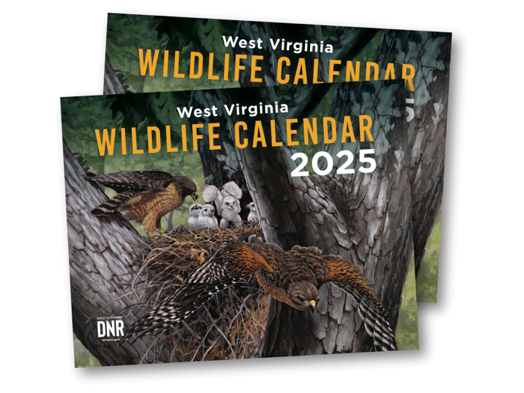 Wildlife Calendar - WVDNR