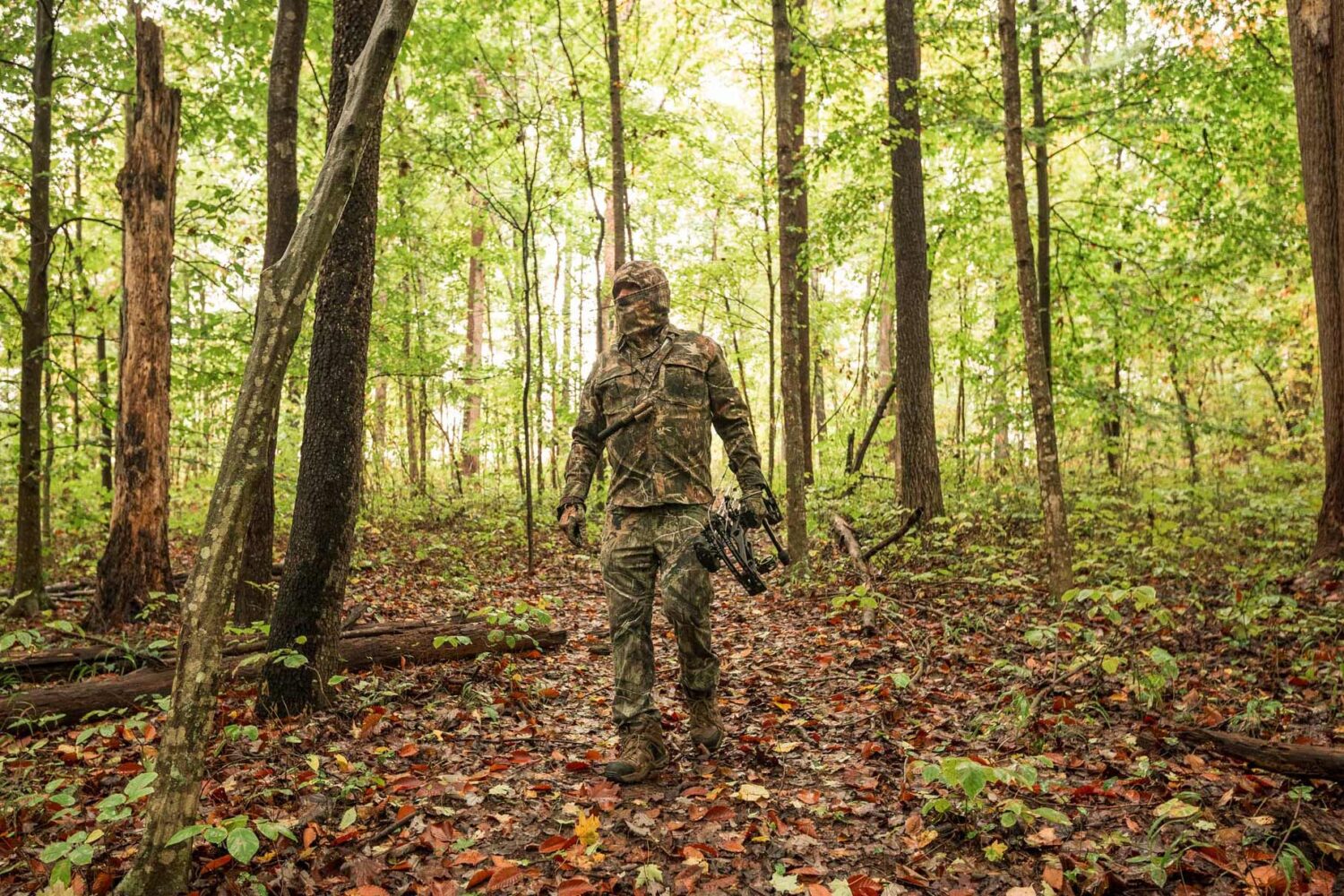 Your Guide to Archery and Crossbow Season in West Virginia