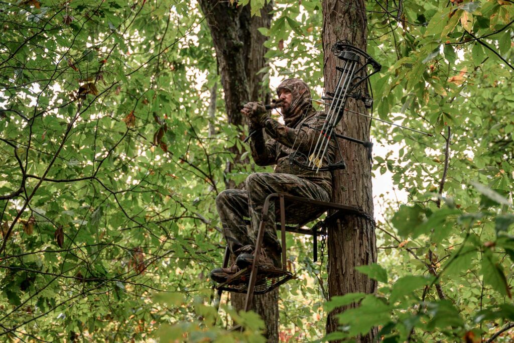 Your Guide to Archery and Crossbow Season in West Virginia