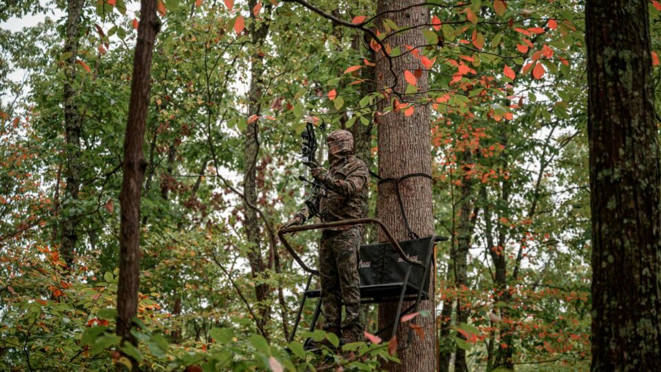 Your Guide to Archery and Crossbow Season in West Virginia