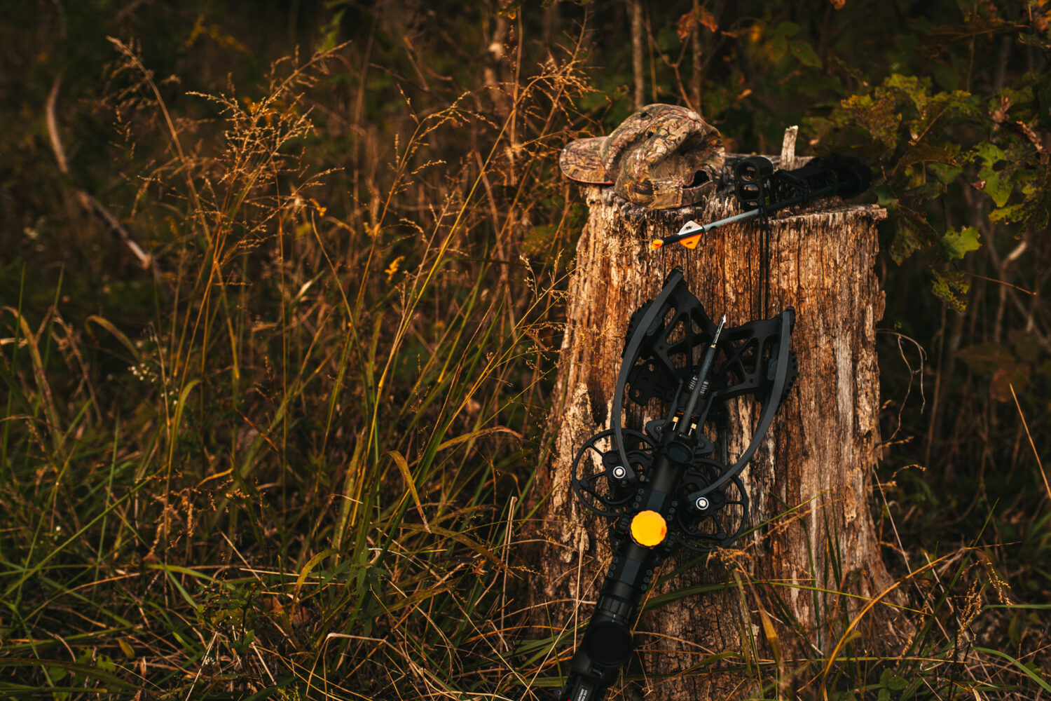 Your Guide to Archery and Crossbow Season in West Virginia